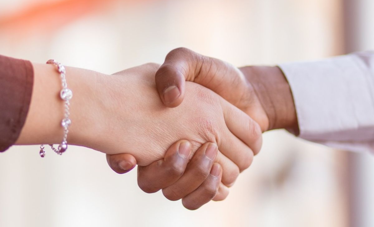 On collaboration – Bookninja